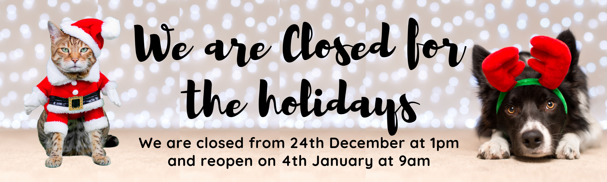 Christmas Closure 2021 - Rouse Hill Family Veterinarian