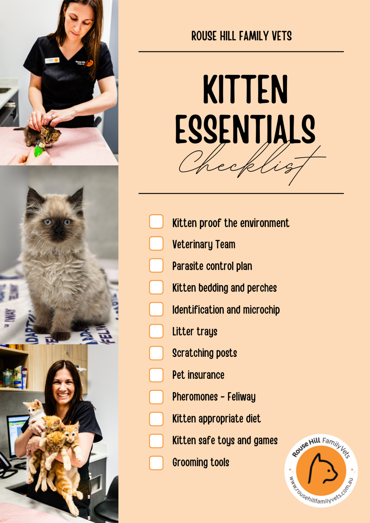 Kitten Essentials Kitten Essentials - Rouse Hill Family Veterinarian